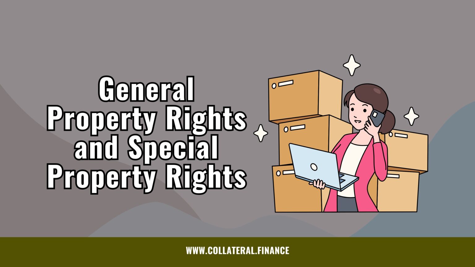 General Property Rights and Special Property Rights: Transferability ...