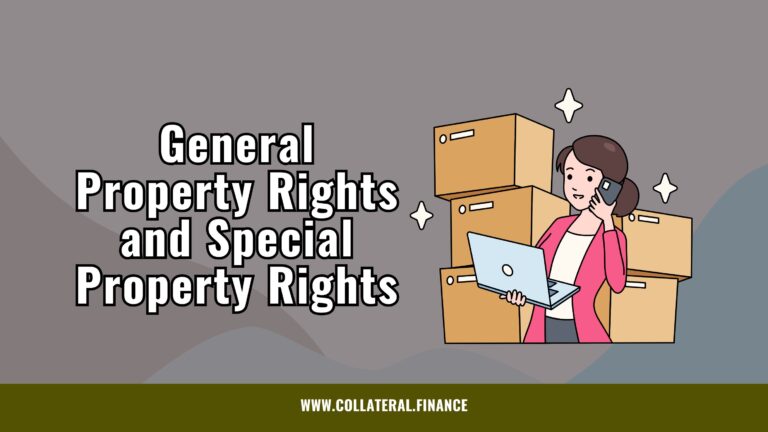 General Property Rights and Special Property Rights: Transferability ...